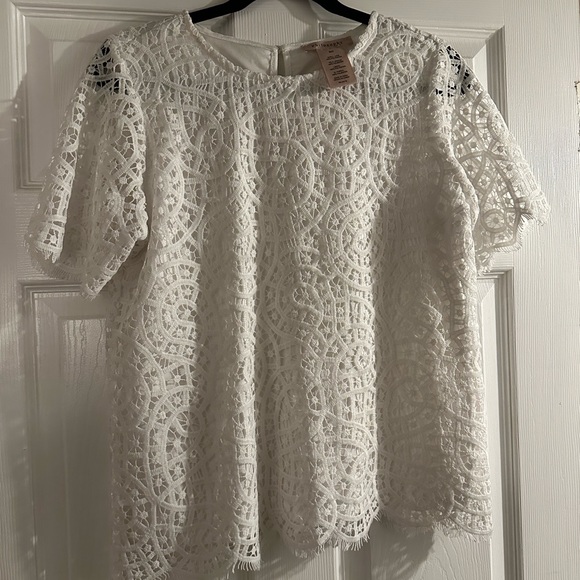 Philosophy | Tops | Philosophy Blouse | Poshmark